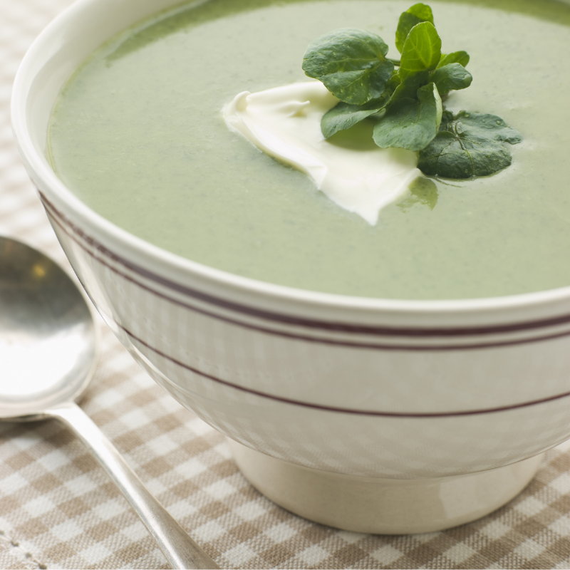 Watercress: Earth’s Healthiest Vegetable - The Health Insider