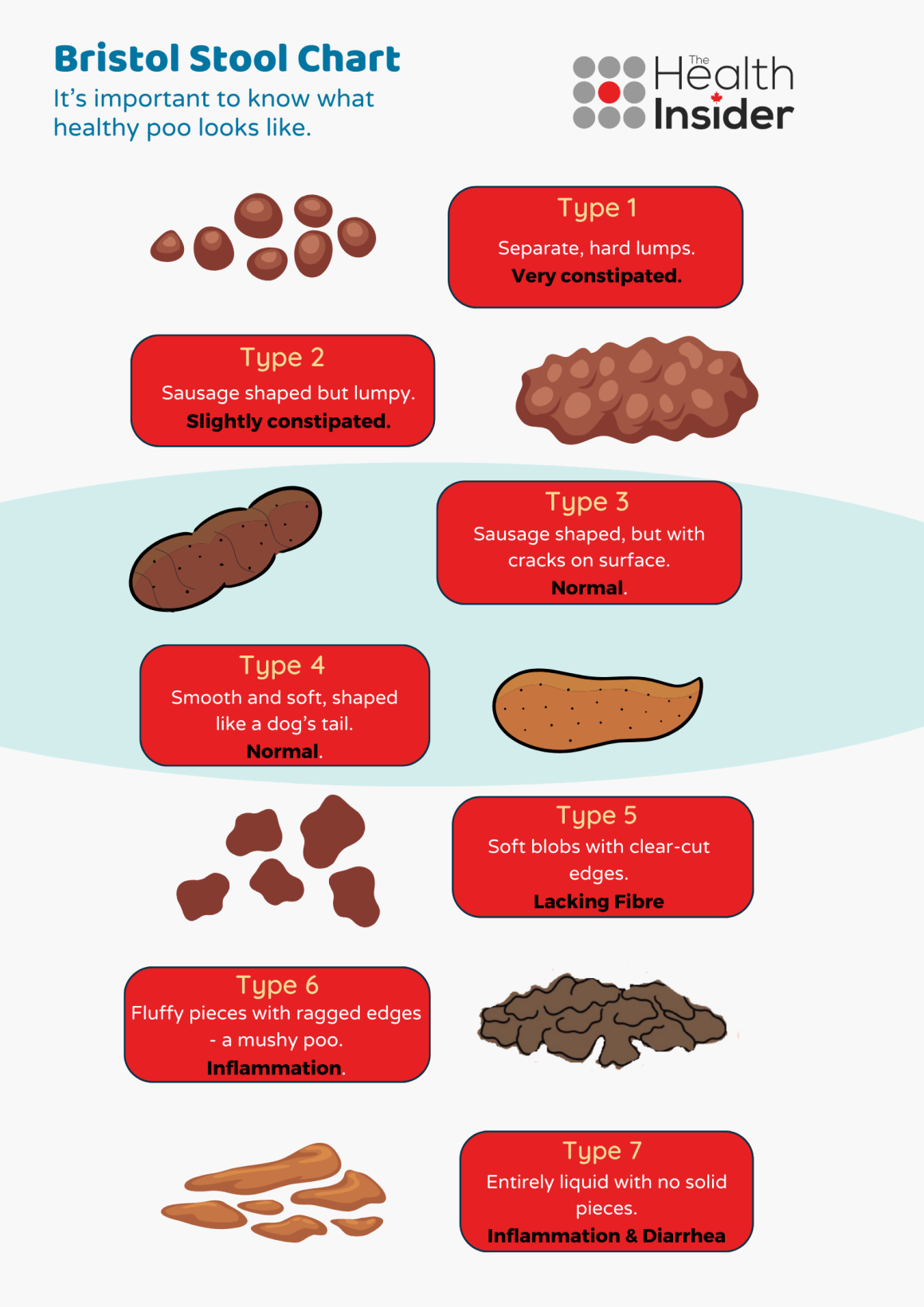 Poop Inspection Can Inform Your Health | The Health Insider