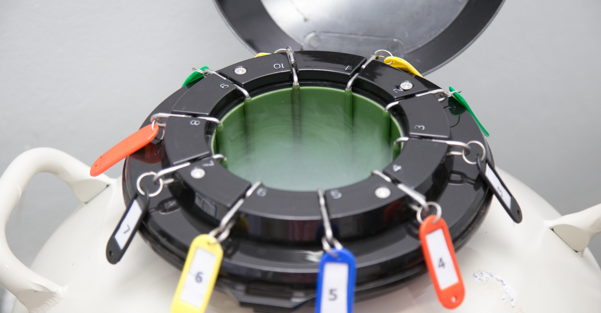 Where to Find Egg Freezing Clinics Across Canada | The Health Insider