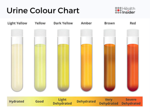 Hydration for energy, focus and health - The Health Insider