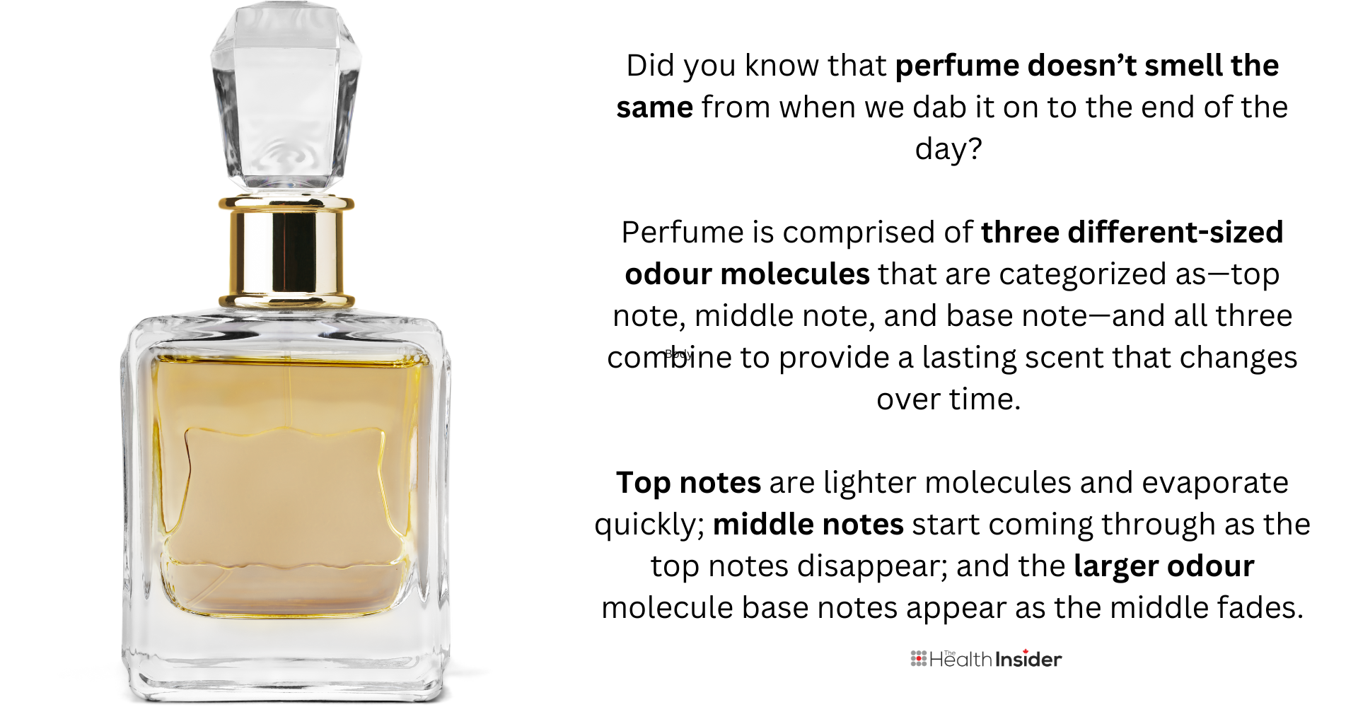 Unlocking the Science of Smell | The Health Insider